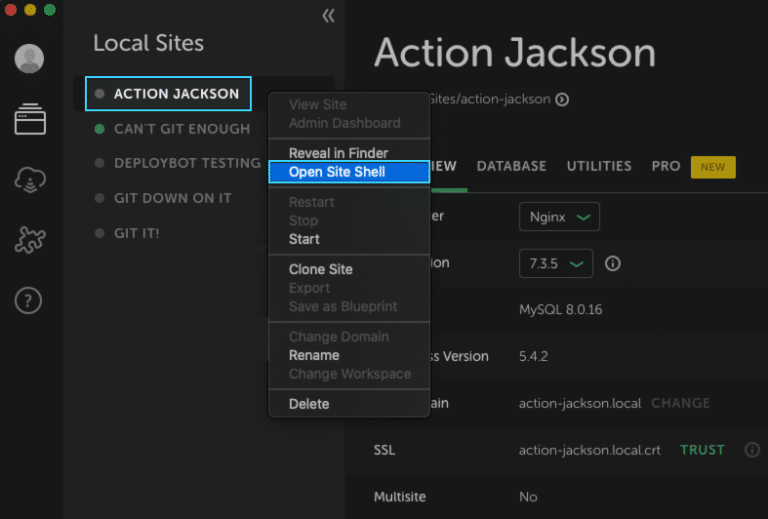 Develop with Local and GitHub - Local